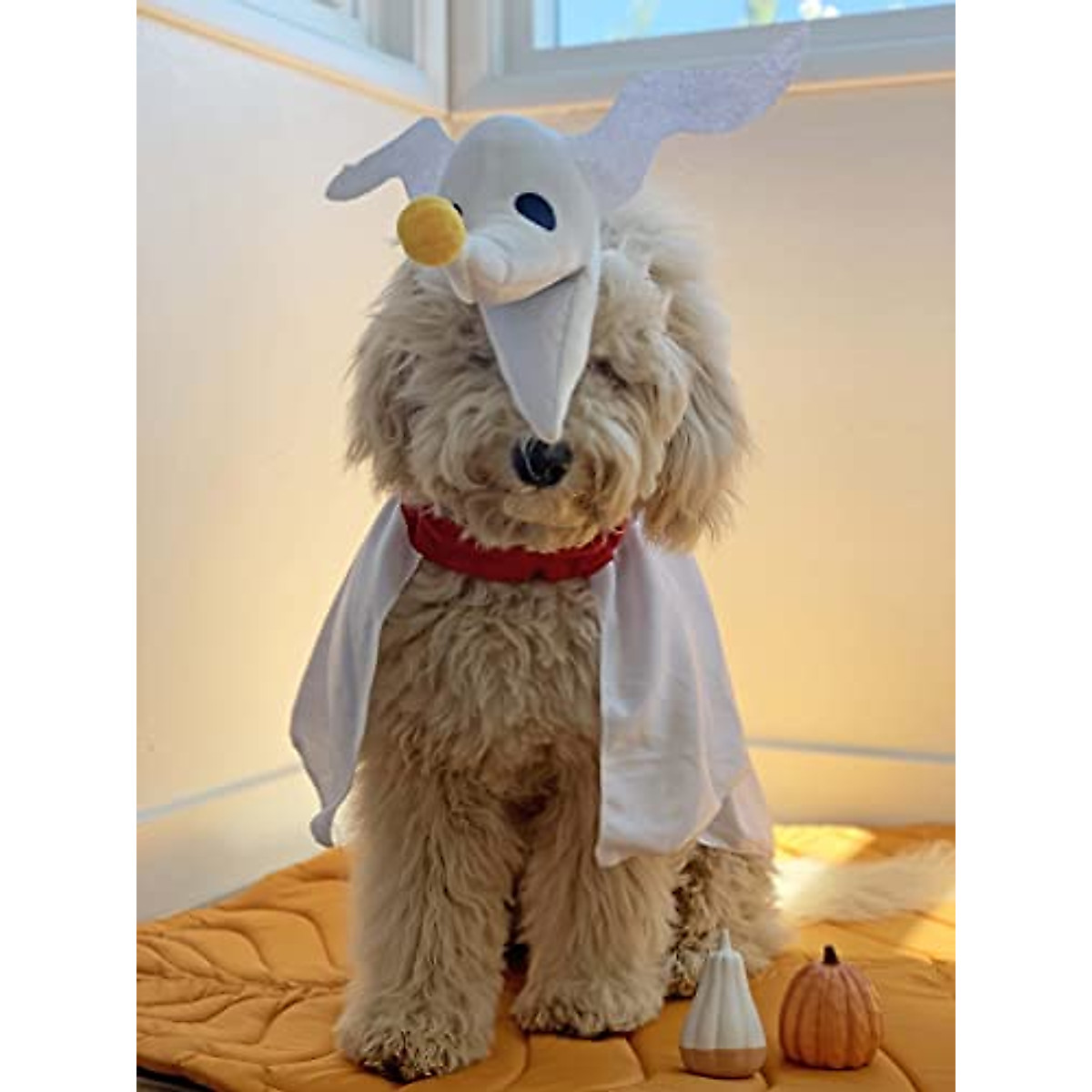 ComfyCamper Dog Ghost Costume for Small Medium and Large Dogs Puppies and Cats, Medium, White