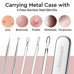 Amconsure Facial Steamer - Nano Ionic Face Steamer Warm Mist Steamer for Face Home Sauna SPA, Face Humidifier Steamer for Facial Deep Cleaning Unclogs Pores Sinuses - 5 Piece Stainless Steel Skin Kit