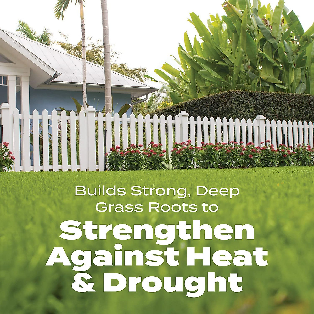 Scotts Turf Builder Bonus S Southern Weed & FeedF2, Weed Killer and Lawn Fertilizer, 10,000 sq. ft., 34.48 lbs.