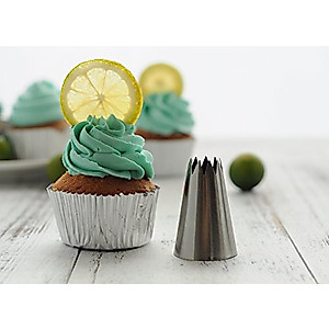 BeBeFun Piping Tips Large Icing Tips Cake Decorating Large Piping Tips Set Cupcake Frosting Piping Kit Extra Large Size In Set.
