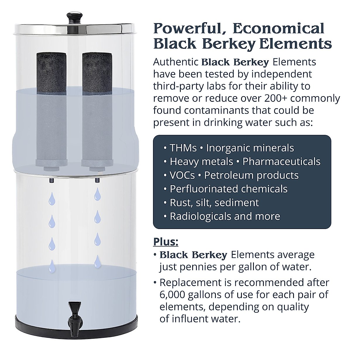 Set of 2 Berkey Authentic Black Berkey Elements (BB9-2) and 2 Berkey PF-2 Fluoride and Arsenic Reduction Elements - Combo Pack