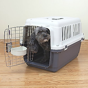 SportPet Designs Plastic Kennels Rolling Plastic Wire Door Travel Dog Crate - Small - No Wheel, Tan