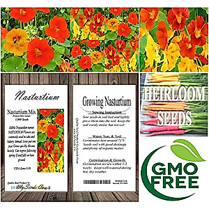 PETBROO Big Pack - Nasturtium Flower Seed Mix (1,000) - Edible Tropaeolum nanum - Spurred, Flat-Faced Trumpet - Used in Cake & Bakery - Flower Seeds by MySeeds.Co (Big Pack - Nasturtium Mix)