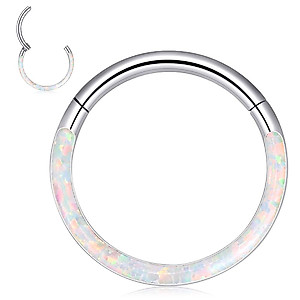 Longbeauty 16G CZ Opal Hinged Segment Nose Rings Hoop 316L Surgical Steel Helix Cartilage Tragus Earrings Septum Clicker Ring 8mm 10mm