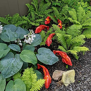 CNPOP Koi Fish Decor Garden,Garden Koi Fish Sculptures Ceramic with Stake, Koi Fish Garden Sculptures, Fish Statue Decor, for Outdoor Garden Lawn Pond Patio Decor Ornament (White Red)