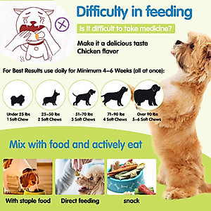 Dog Itch Relief Chews, Itch Relief Allergy Relief for Dogs, Anti Itch for Dogs, Skin Allergy Treatment for All Dog Breeds, 120 Chews Chicken Flavor Dog Skin& Coat Health Supplement