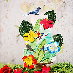 JeVenis Parrot Birthday Cake Decoration Tropical Bird Cupcake Decoration Parrot Party Supplies Tropical Bird Cake Decoration Parrot Birthday Party Decoration