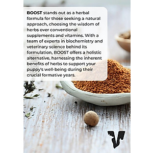 VetVittles Boost for Puppies - Natural Formative Years Support - Stimulates Growth, Strengthens Immunity, Increases Energy, and Promotes Appetite - 90 Soft Chews