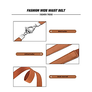 JOVITEC 5 Pieces Women Skinny Elastic Waist Belt for Dress Retro Stretch Cinch Adjustable Thin Belt Metal Buckle