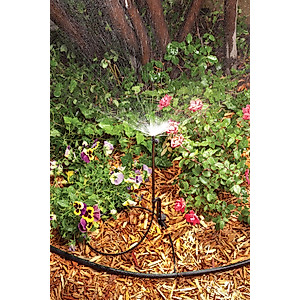 Rain Bird MSSTKTH1S Drip Irrigation Micro-Spray on Adjustable Height Staked Riser with 1/4" Tubing and Barbed Coupler, 180° Half Circle Pattern, 0 - 10.5’ Spray Distance,Black