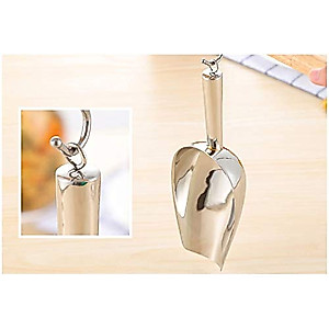 JBscoop Stainless Steel Scoop for ice, 9.6 Inch Metal Food Scoop Kitchen Bar Party Wedding Heavy Duty Dishwasher Safe - 8 Oz