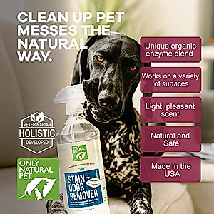 Only Natural Pet Enzyme Powered Stain & Odor Eliminator - Professional Pet Urine Pee Cleaner Deodorizer For Dogs - Hardwood Floors Carpets Upholstery - Fresh Mandarin Orange & Green Tea Scent - 32Floz
