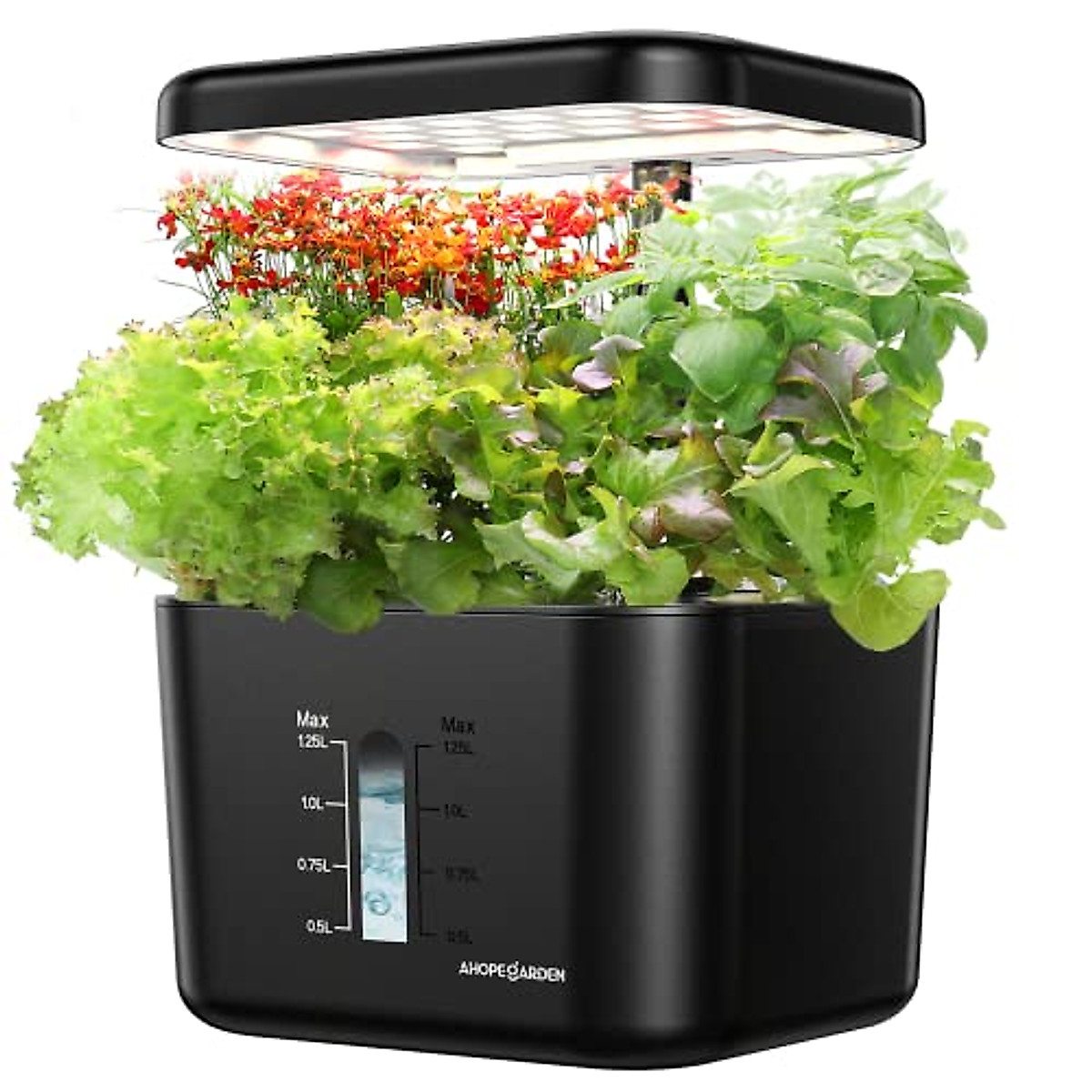 Ahopegarden Indoor Garden Hydroponic Growing System with Seed Pod Kit