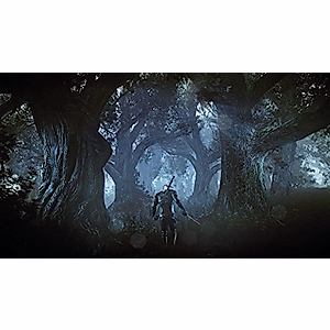 The Witcher: Wild Hunt (Comic Bundle) - PlayStation 4