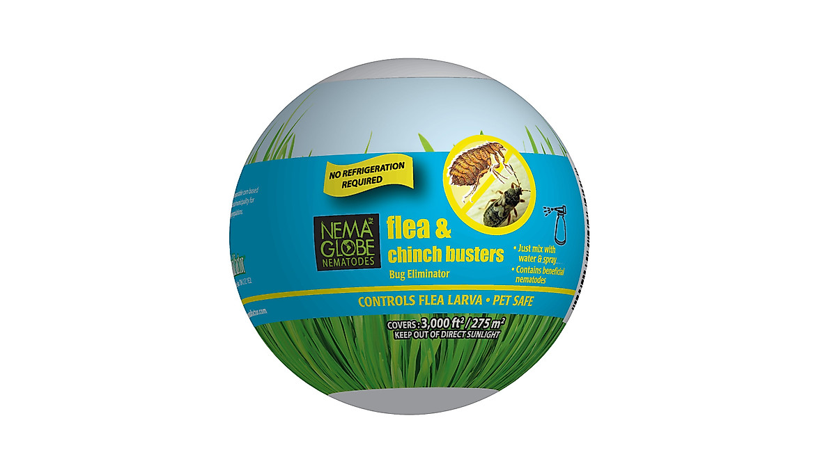Nema Globe Nematodes: Safe Flea & Chinch Bug Control