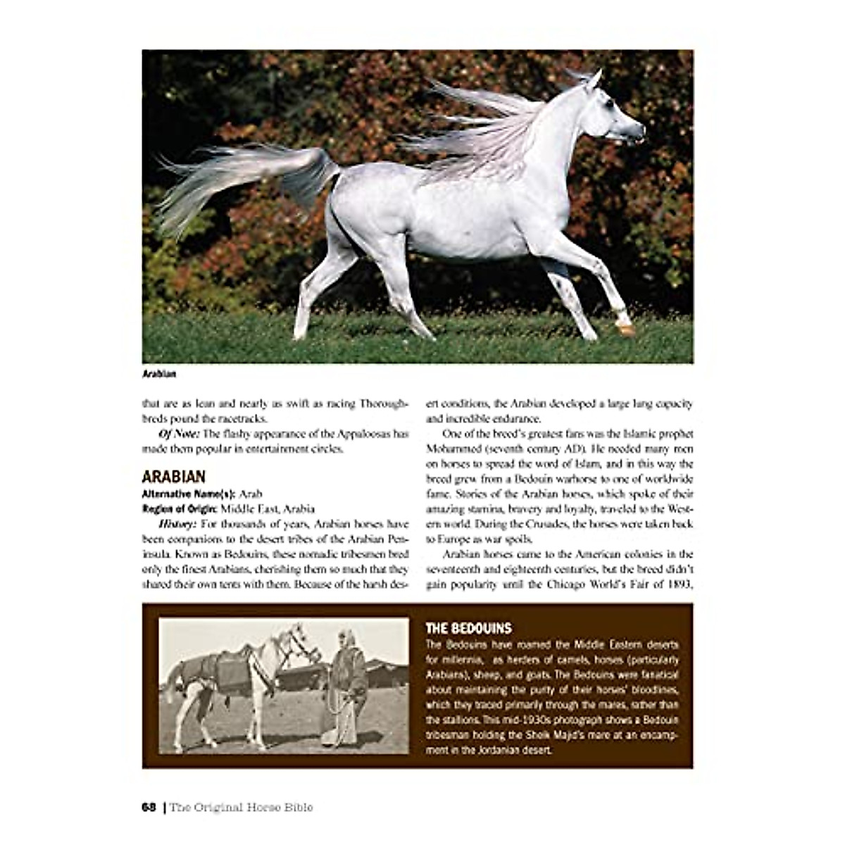 The Original Horse Bible, 2nd Edition: The Definitive Source for All Things Horse (CompanionHouse Books) 210 Breed Profiles, Training Tips, Riding Insights, Competitive Activities, Grooming and Health