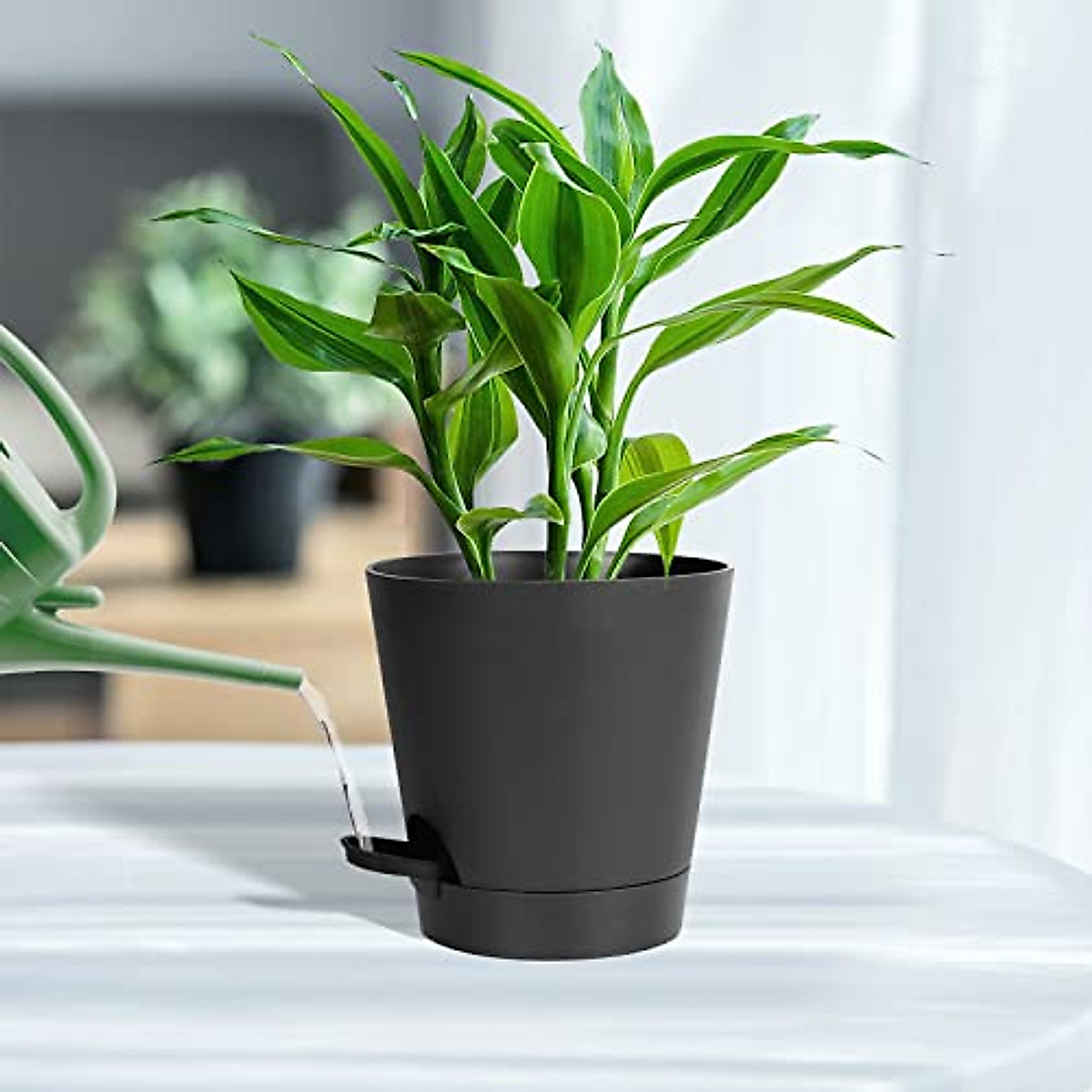 6 Inch Self Watering Plastic Planters, Warmplus Plant Pots for Indoor Outdoor with Drainage Holes, Watering Wick, Watering Lip for Snake Plant, African Violet, Aloe, and Most House Plants 6-Pack Black