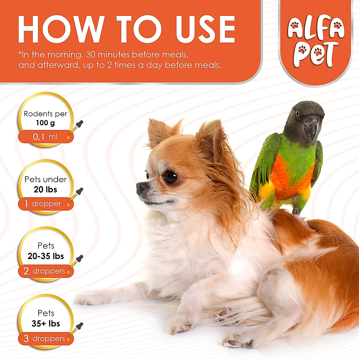 Liquid Herbal Cleanse for Cats and Dogs • Cats & Dogs Natural Broad Spectrum Cleanser • Dietary Supplement Drops for Cats and Dogs • Natural Broad Spectrum Cleanser for Pets • 2 oz