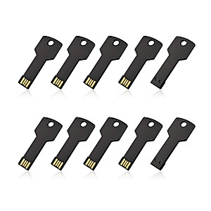 RAOYI 10 Pack 2GB USB Flash Drive USB 2.0 Metal Key Shape Memory Stick Thumb Drive Pen Drive-Black