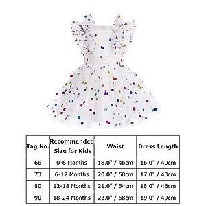 Flower Girls Sequin Colorful Polka Dot Tutu Dress for Infant Baby Baptism Christening Gown Toddler Little Princess Pageant Wedding Birthday Party Tulle Romper Dresses White + Rainbow Dots 12-18 Months