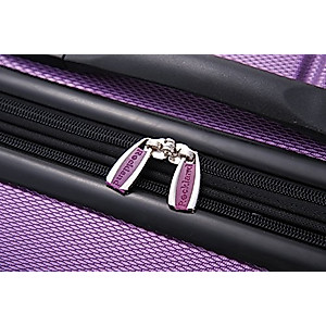 Rockland Melbourne Hardside Expandable Spinner Wheel Luggage, Purple, 2-Piece Set (20/28)