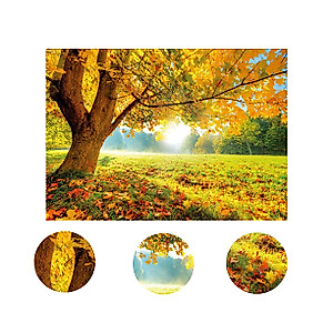 LYWYGG 7x5FT Autumn Golden Maple Deciduous Photography Background Fall Photo Backdrop Wedding Backdrop Newborn Photography Backdrops CP-189