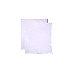 OdorFree Washable Filters for Ozone Generators- Regular (2-Pack)