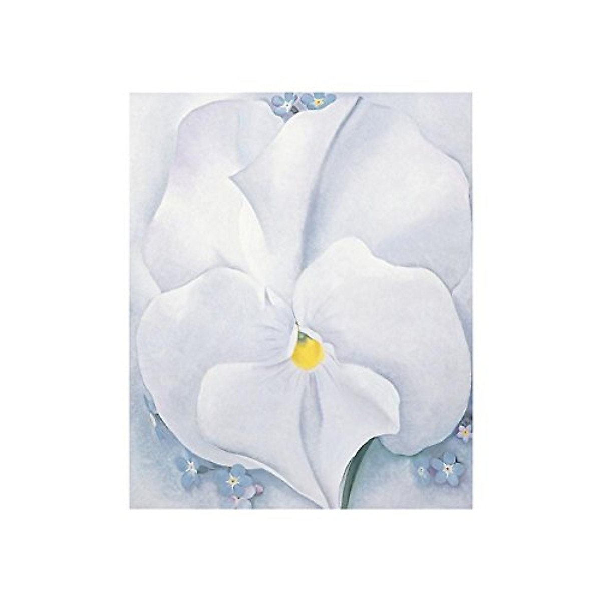 White Pansy, c.1927 Art Print by Georgia O'Keeffe (Overall Size: 11x14) (Image Size: 8x9.75)