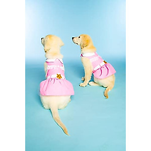 Doggy Parton Pink Cowgirl Collared Dress - S