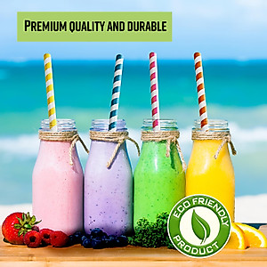 Naturalik 100-Pack Extra Durable Paper Straws Biodegradable (Multicolor, 100pc)