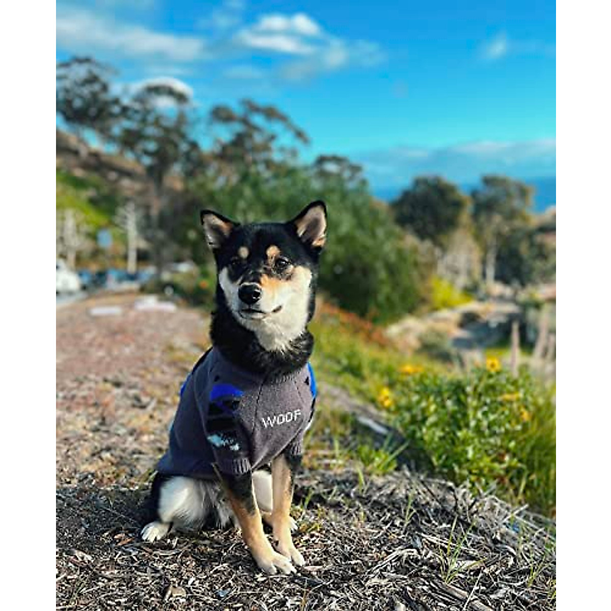 ChoChoCho Woof Knit Dog Sweater, Fashion Design Thermal Knitted Dog Sweaters for Dogs Puppy Small Medium Large, Warm Doggy Sweater Winter Clothes (Blue/Grey, 5XL)