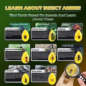 Amber Dig Kit - Insects in Resin, 8 Insects Specimens Excavation Kit, Geographic Bug Toys for Kids, Educational Science Kits for Bugs Collection, STEM Toys for Boys & Girls Age 6 and up Birthday Gift