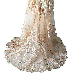Aisunne African Lace Fabrics 5 Yards Nigerian French Lace Fabric with 3D Butterfly Embroidered Flower for Wedding Party Dresses (Apricot)