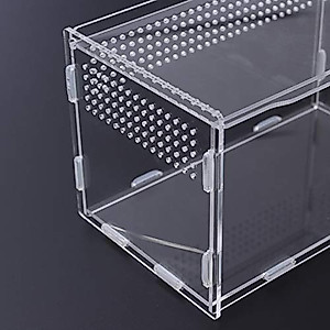 POPETPOP Reptile Tank 1Pc Reptile Box Portative Utility Reptile Box Feeding Case for Tortoise Spider Scorpion Snake Snail Terrarium