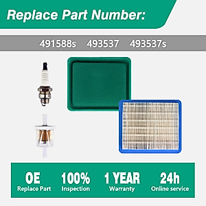 491588s Flat Air Filter Cartridge Spark Plug Replace 493537 493537s