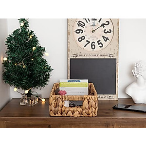 StorageWorks Water Hyacinth Baskets