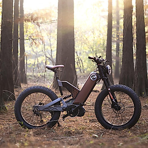 eAhora P5 Plus Electric Bike for Adults, 28MPH 750W(MAX 1000W) 48V 20Ah Long Range Removable Battery Ebike, 7 Speed Electric Mountain Bike, 24 * 4.0'' Fat Tire Electric Bike, Full Suspension