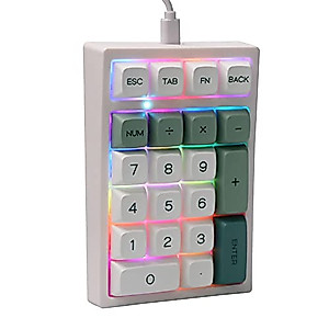 EPOMAKER TH21 21 Keys Hot Swappable Mechanical Gaming Numpad, 3 Modes(2.4Ghz/Bluetooth 5.0/Wired) Programmable RGB Numeric Keypad with PBT Keycaps for Win/Mac (Botanic Garden, Flamingo Switch)