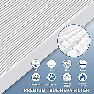 HEPA Air Purifier Filter R Replacement for Honeywell Air Purifier HPA100/200/300 and 5000 Series, 6 Pack True HEPA Filter Compatible with Honeywell R Filter (HRF-R3 & HRF-R2 & HRF-R1)