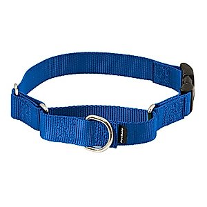PetSafe Martingale Collar with Quick Snap Buckle, 3/4" Medium, Royal Blue