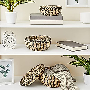 Decorative Seagrass Storage Baskets for Organizing, Round Woven Baskets in 3 Sizes with Lids (3 Piece Set)