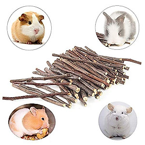 Bojafa 250g Apple Sticks Small Animals Molar Wood Treats Toys for Rabbits Chinchillas Guinea Pig Hamster Gerbil Parrot Bunny and Small Animals Chew Stick Toys Treats (250g, About 50 Pcs)
