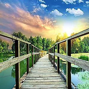 NARBOR Soft Fleece Throw Blanket - Fluffy Microfiber Solid Blankets for Bed and Couch Double/Single Size - 59X79Inch Lake Wooden Bridge Landscape Printed Flannel Blanket for Bed, Couch and Sofa