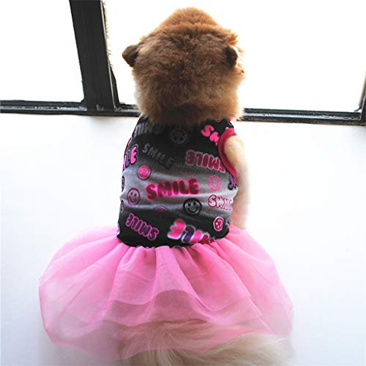 Puppy Shirt Skirt Winter Pet Costume Dog Cat Clothing Apparel Doggie Outfits Hoodie Sweatshirts Tiny Puppy Clothes Black Small