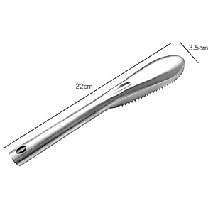Fish Scaler Brush Fish Scaler Remover with Stainless Steel Sawtooth Easily Remove Fish Scales, Efficient Kitchen Tool for Chef and Home Cooks