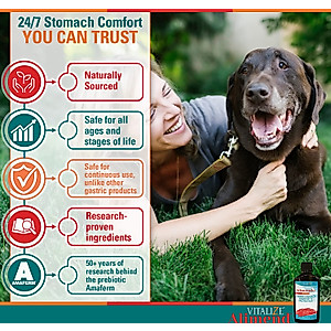 Vitalize Alimend K9 - Dog Upset Stomach Relief for Nausea, Vomiting & Diarrhea - 6 Oz