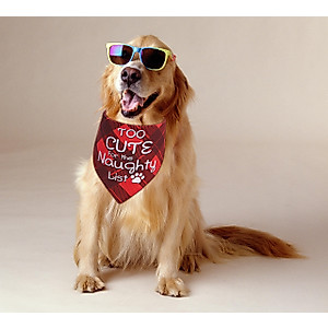 Earus Christmas Dog Bandanas Funny, Dog Christmas Scarf 2 Packs, Pets Christmas Plaid Décor for Medium Large Dogs