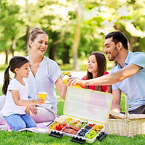 Portable Snackle Box Container - 17 Compartment Adjustable Divided Serving Tray, Snack Box Organizer for Fruits, Candy, Nuts, Snacks, Charcuterie - Ideal for Party, Travel, Beach, Picnics, Camping