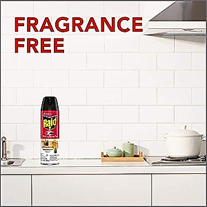 Raid Ant and Roach Killer Fragrance Free, 17.5 OZ (Pack - 3)