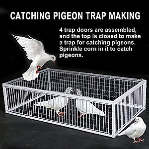 Pigeon Loft Door Pigeon Entrance Door Trap Door Pigeon House Door Racing Supplies Pet Bird Supply Product Bird cage Door (60cm/24in)